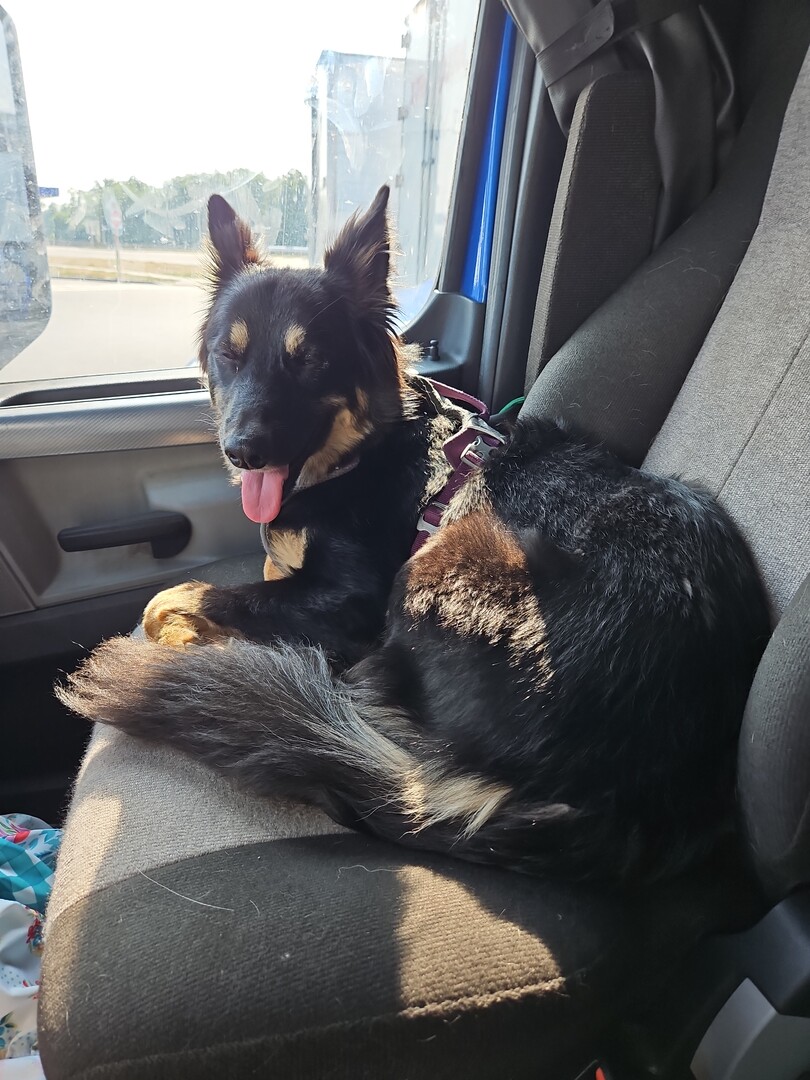 Swift Owner Operators