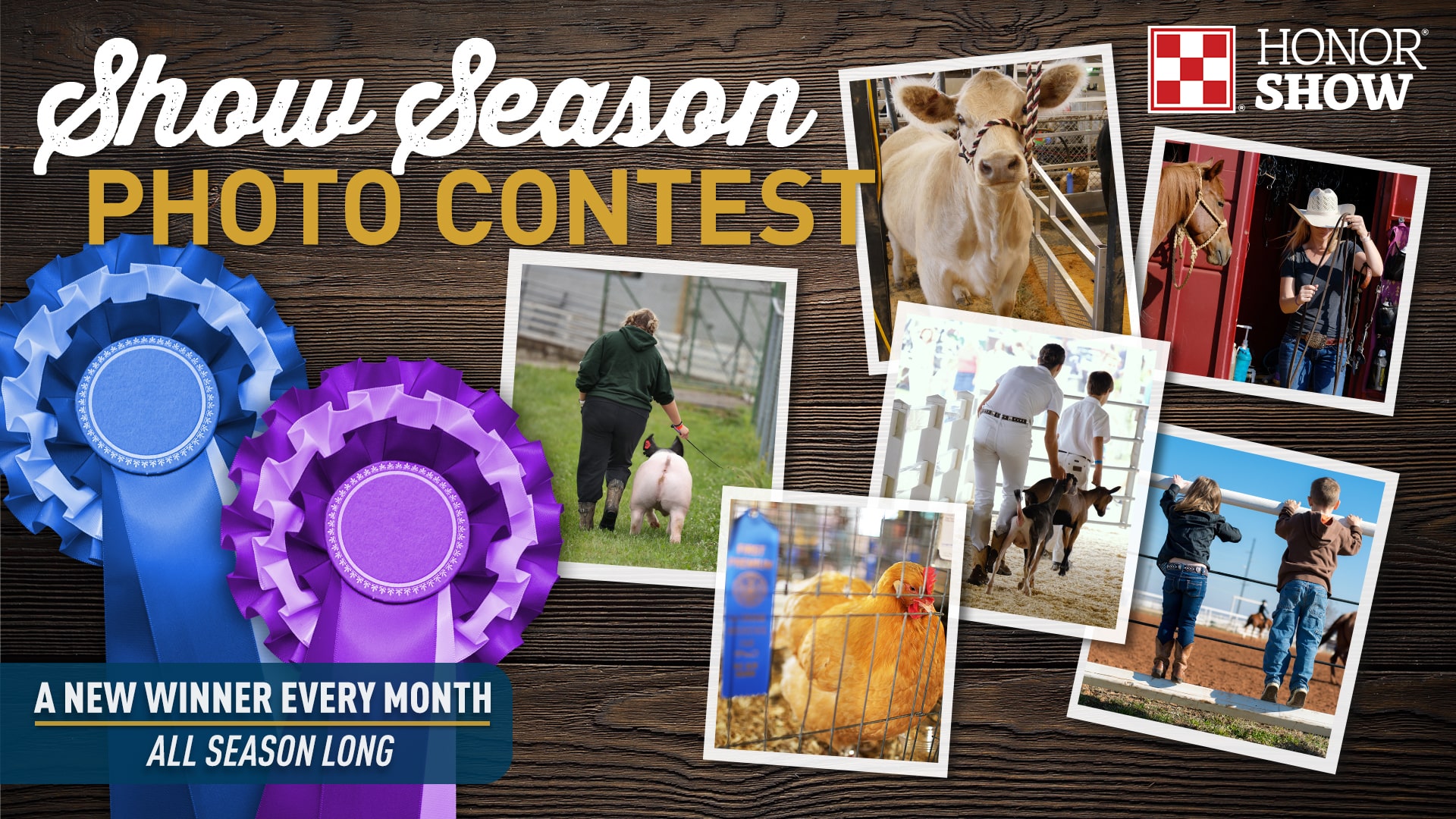 Show Season Photo Contest
