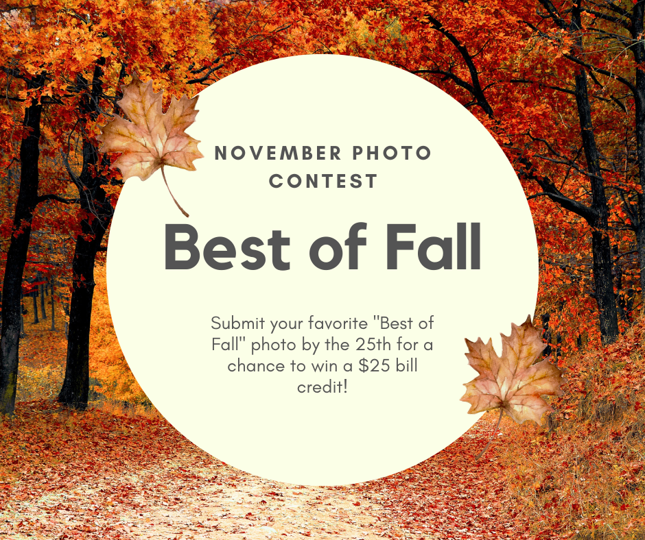 November Photo Contest: Best of Fall