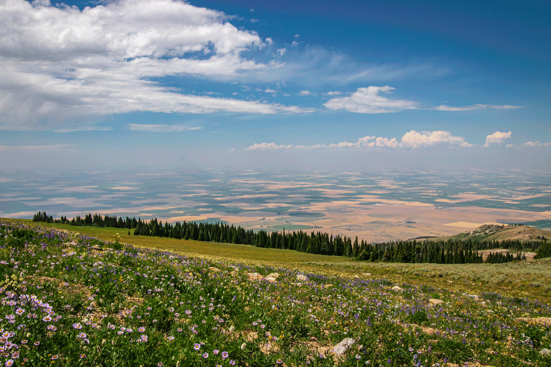 Outdoor Idaho Photo Contest - August