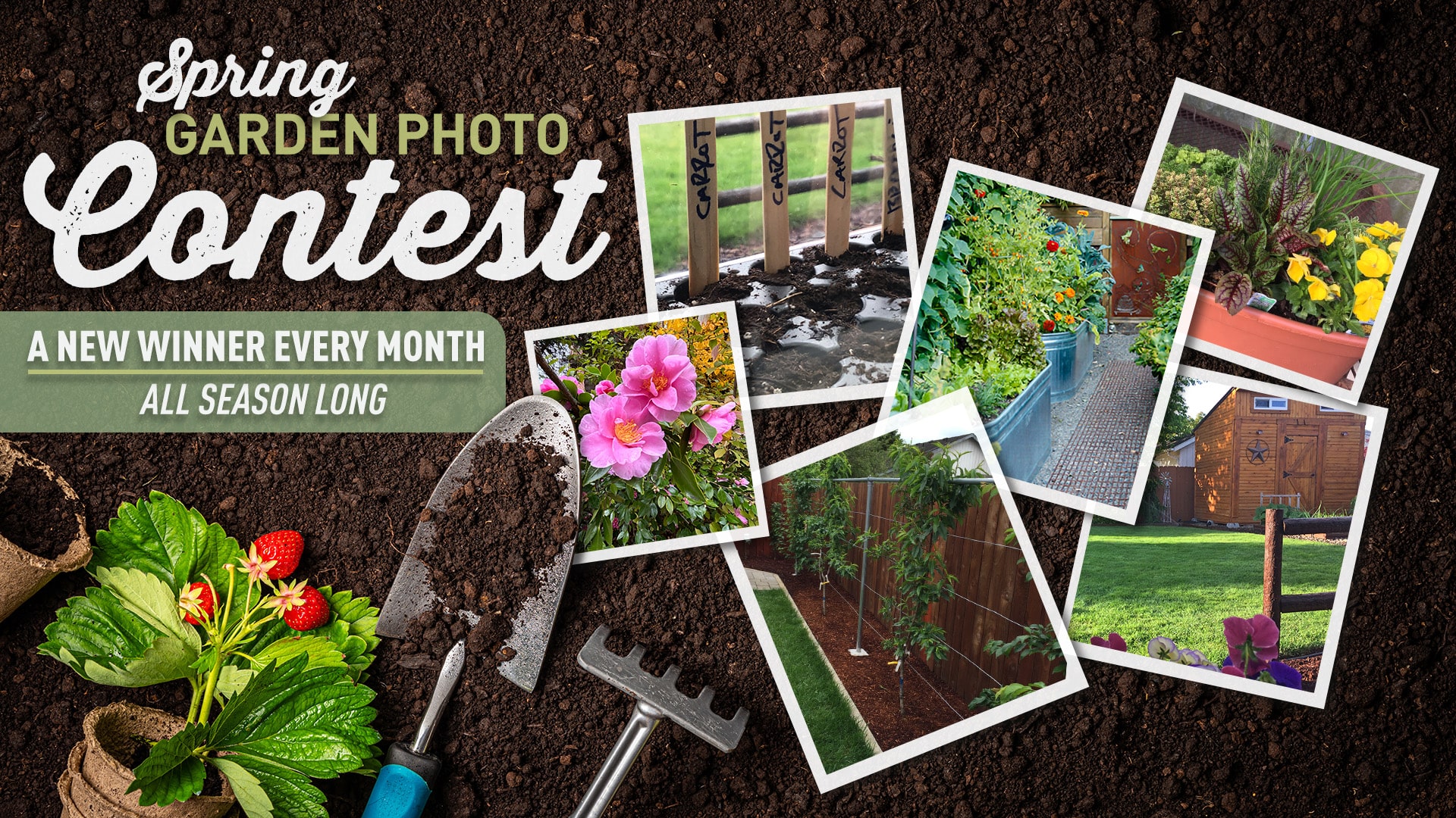 Spring Garden Photo Contest