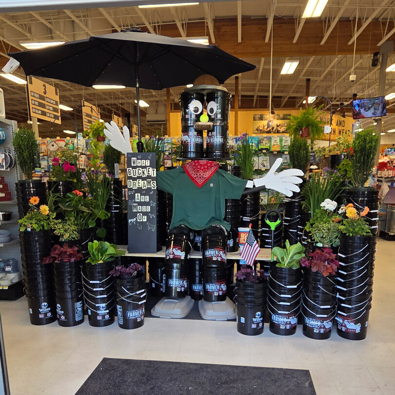 Store Display Contest