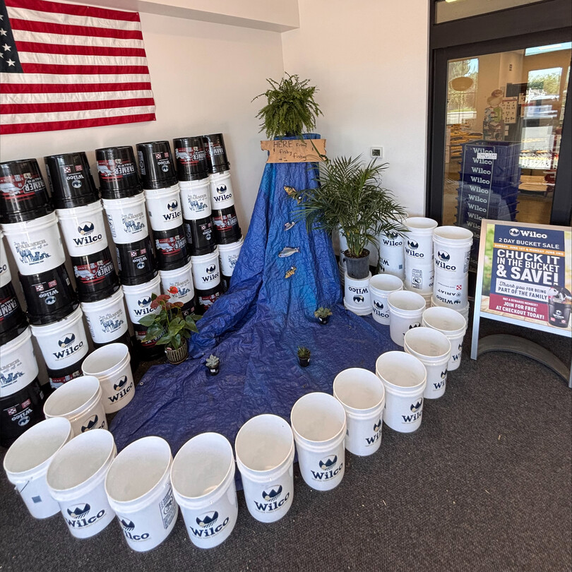 Store Display Contest