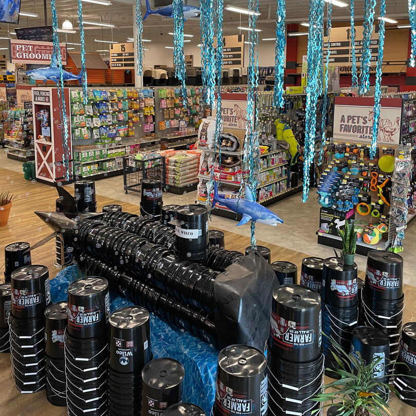 Store Display Contest